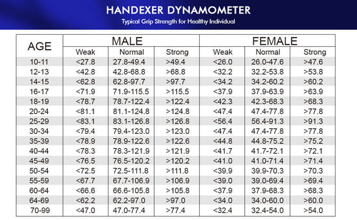 Grip Strength Dynamometer Norms | Handexer